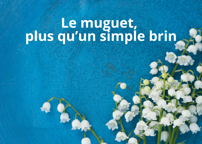 Le muguet, plus qu’un simple brin – Jean-Louis Riguet Librebonimenteur ...
